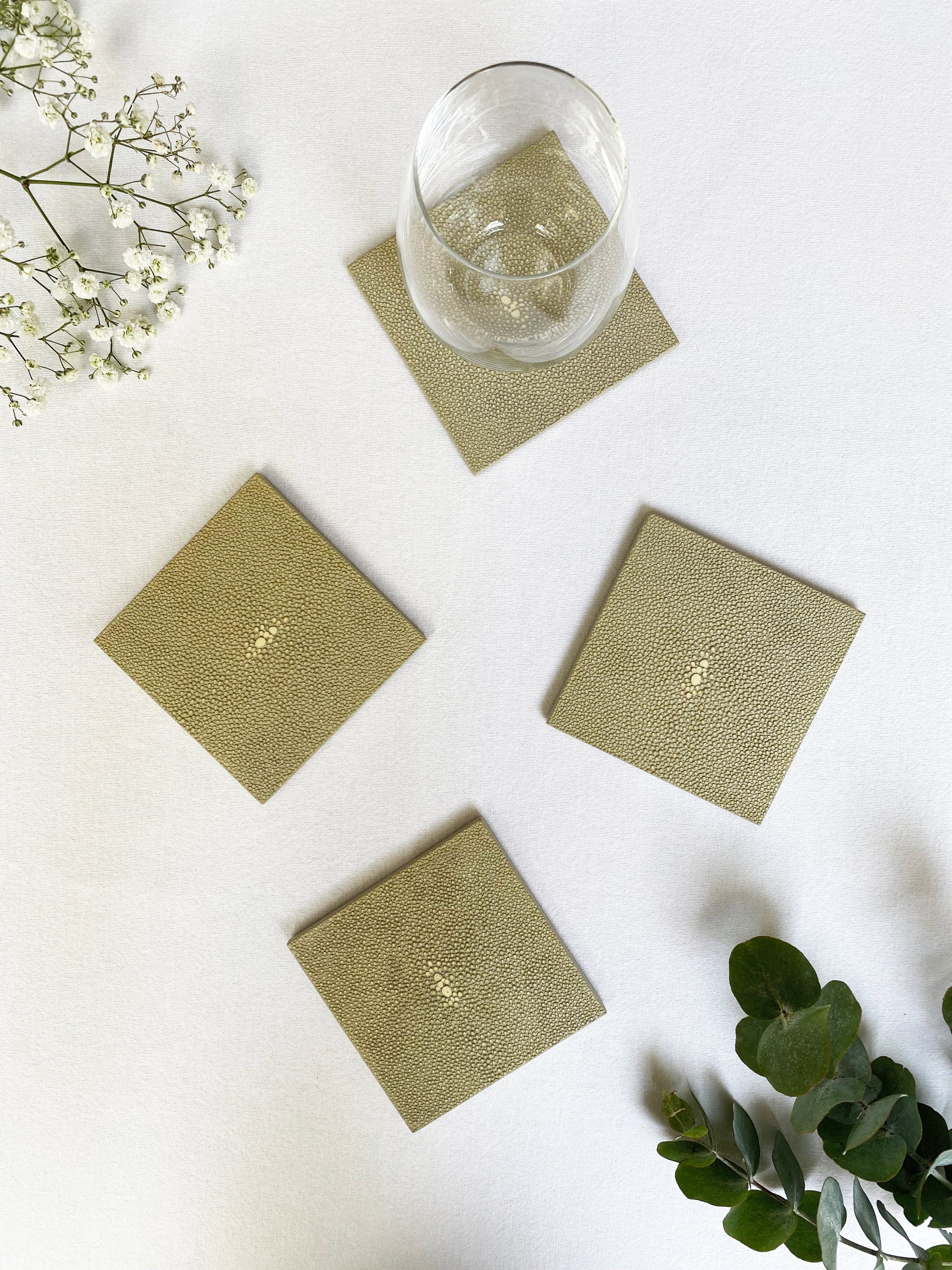 Coastbox Clear - Shagreen Natural